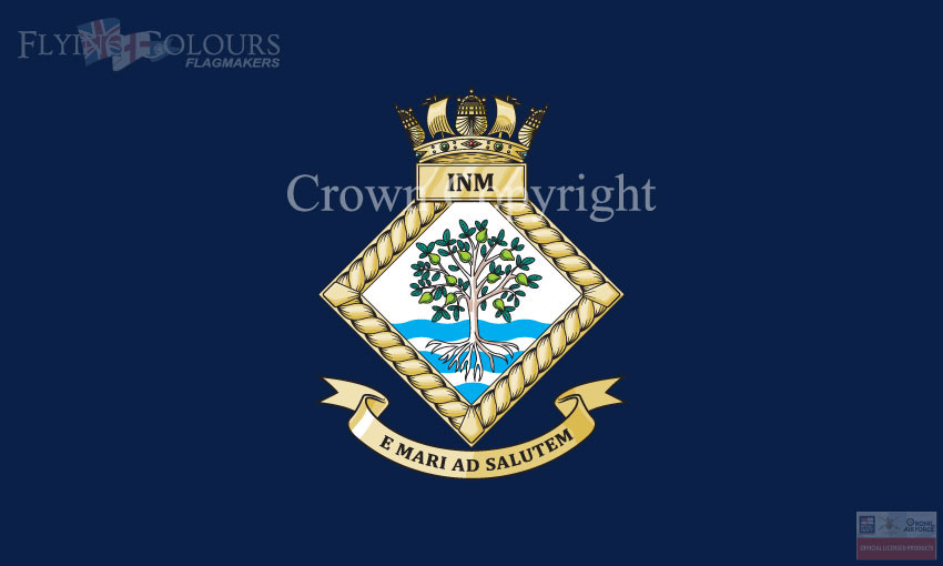 Institute of Naval Medicine Flag | Officially Licenced MoD Artwork ...