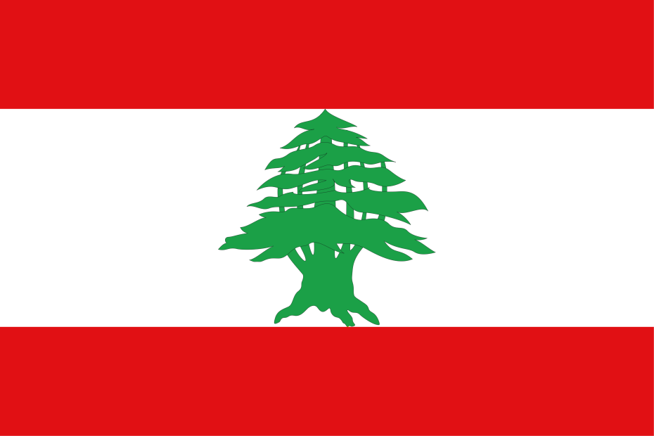 Buy Lebanon National Flag Online | Printed & Sewn Flags | 13 sizes