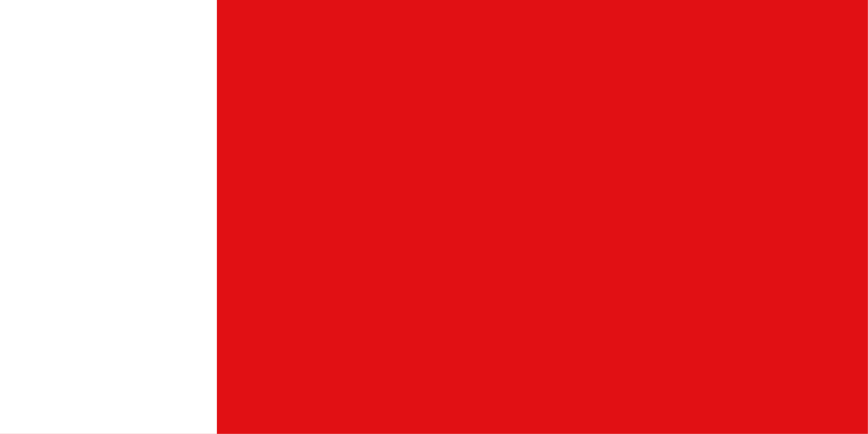 Buy UAE Dubai Flag Online | Printed & Sewn Flags | 13 sizes