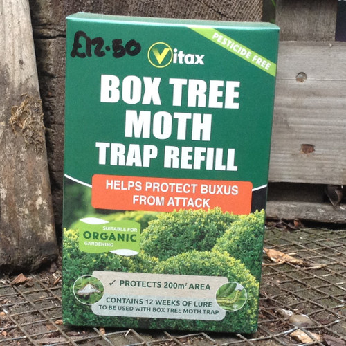 Vitax Box Tree Moth Trap (Refill) - Bunkers Hill Plant Nursery