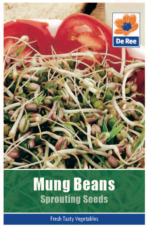 Mung Beans Seeds - Bunkers Hill Plant Nursery