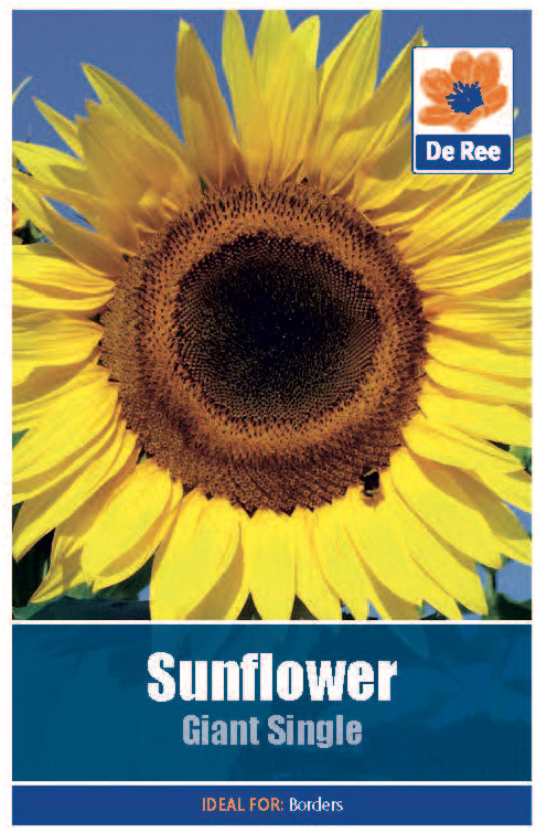 Sunflower 'Giant Single' Seeds - Bunkers Hill Plant Nursery