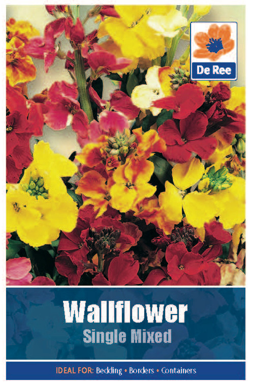 Wallflower Single Seeds - Bunkers Hill Plant Nursery