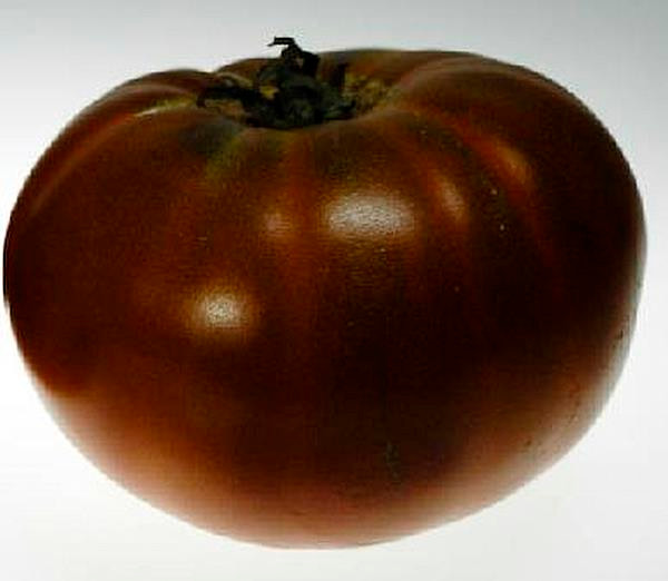 Paul Robeson Heirloom Tomato Seed