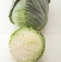 Cabbage Golden Cross Vegetable Seeds