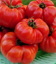 Ruffled with Ridges Tomato Seeds - Pase Seeds