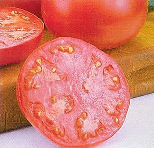 Pink Girl Tomato Seeds