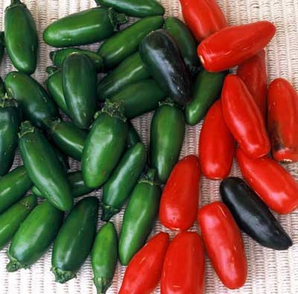 Pepper Seed - HOT - Serrano Chili Seeds
