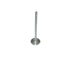 1P0407 Intake Valve - AMT Equipment Parts - Equipment Replacement Parts