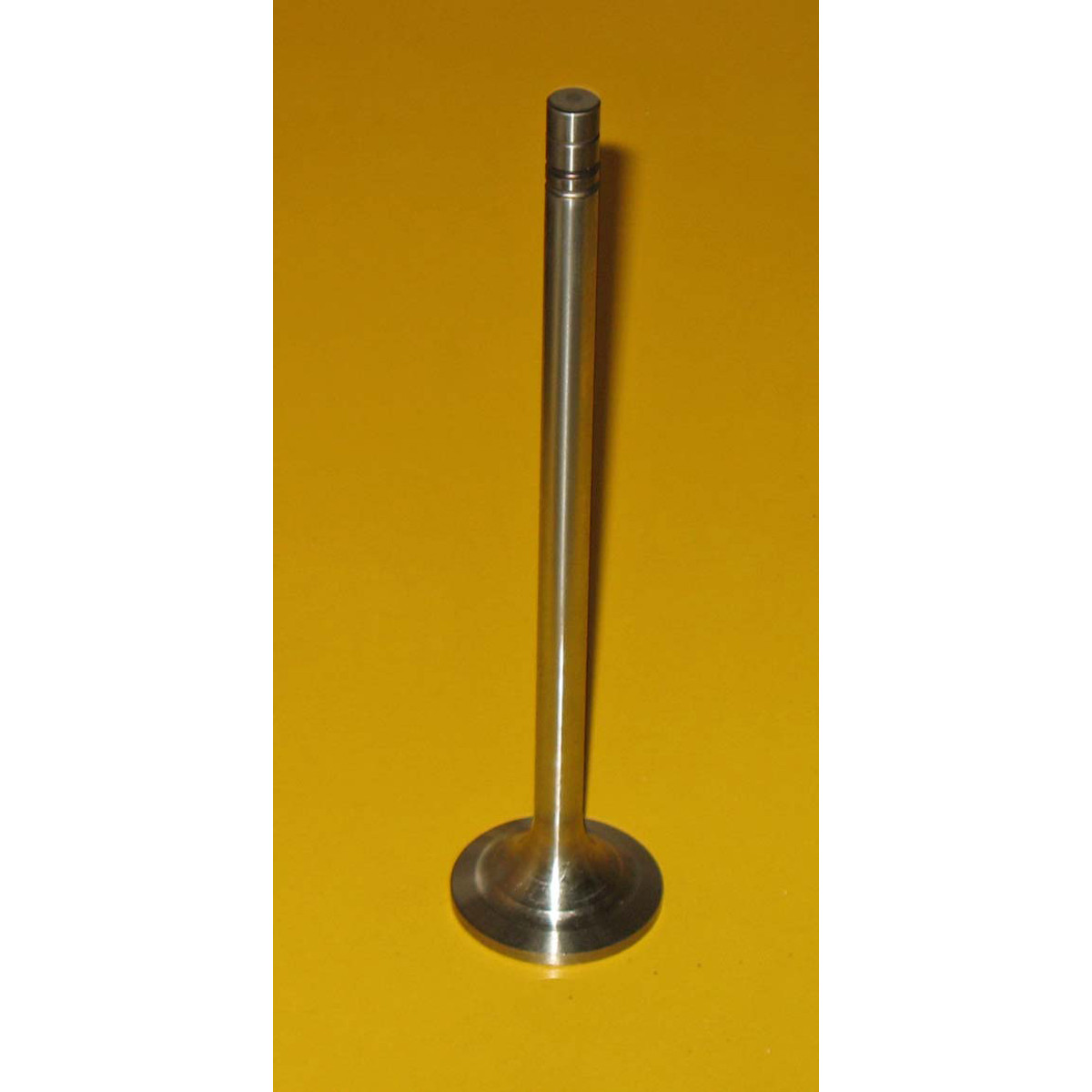 1018314 Exhaust Valve - AMT Equipment Parts - Equipment Replacement Parts