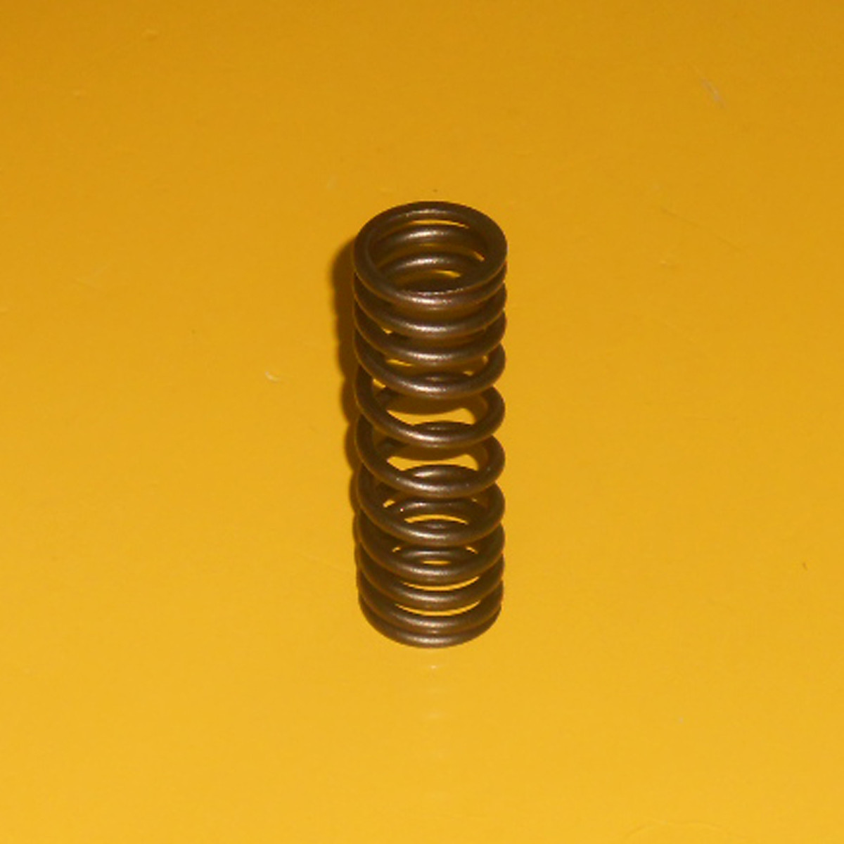 2113122 Valve Spring - AMT Equipment Parts - Equipment Replacement Parts