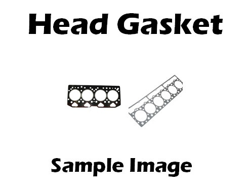 2219392 Gasket, Head - AMT Equipment Parts - Equipment Replacement Parts
