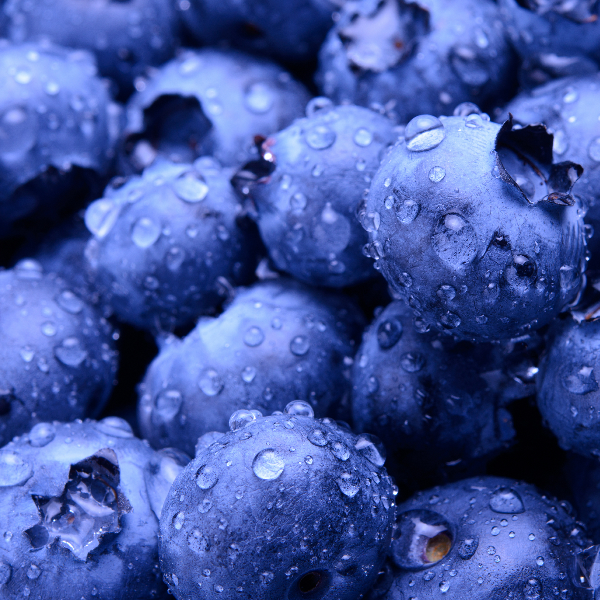 Blueberry Burst Liquid - iVapour