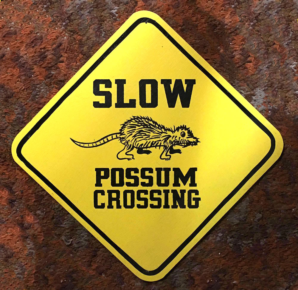 POSSUM CROSSING ROAD SIGN - 16" x 16" - Possum County Folk Art Gallery