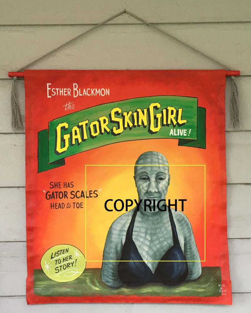GATOR SKIN GIRL - Circus Sideshow Banner by Wolfe & Borum - Possum ...
