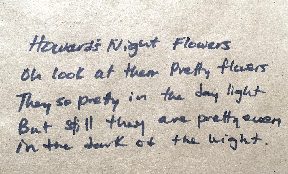 HOWARD'S NIGHT FLOWERS by Kip Ramey