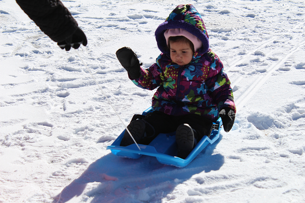 Snow Sleds Direct in Action - Snow Sleds Direct