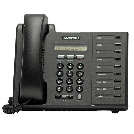 Iwatsu IX-5900 ICON IP Display Phone