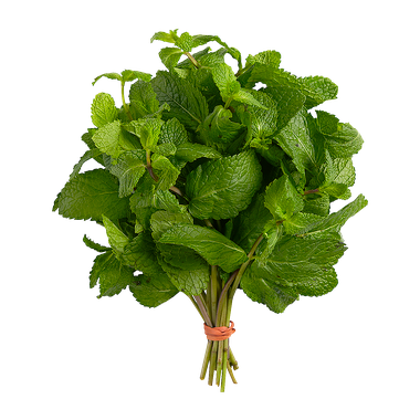 Mint (1 bunch) - DIZIN Online Store