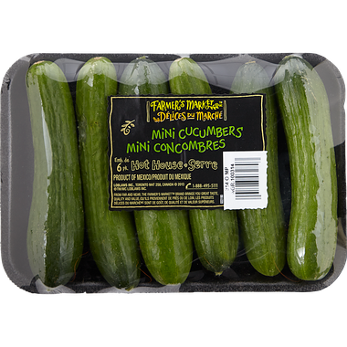 Mini Cucumbers (6 pack) - DIZIN Online Store