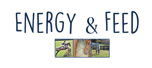 Different sources of energy from feed types