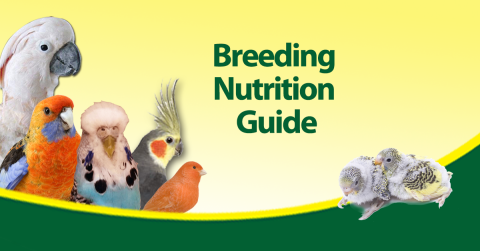 Breeding bird nutrition