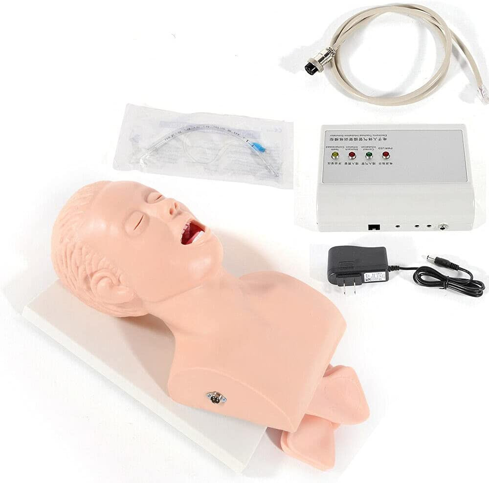 Airway Intubation Training Manikin IN STOCK Usually ships in 24 ...