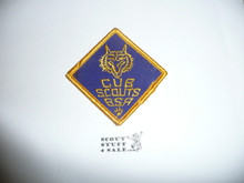 Adult Badges of position - Boy Scouts of America - ScoutStuff4Sale.com