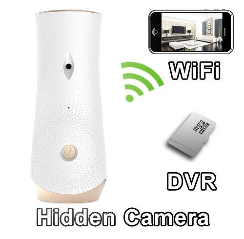 Hidden spy cameras wireless store