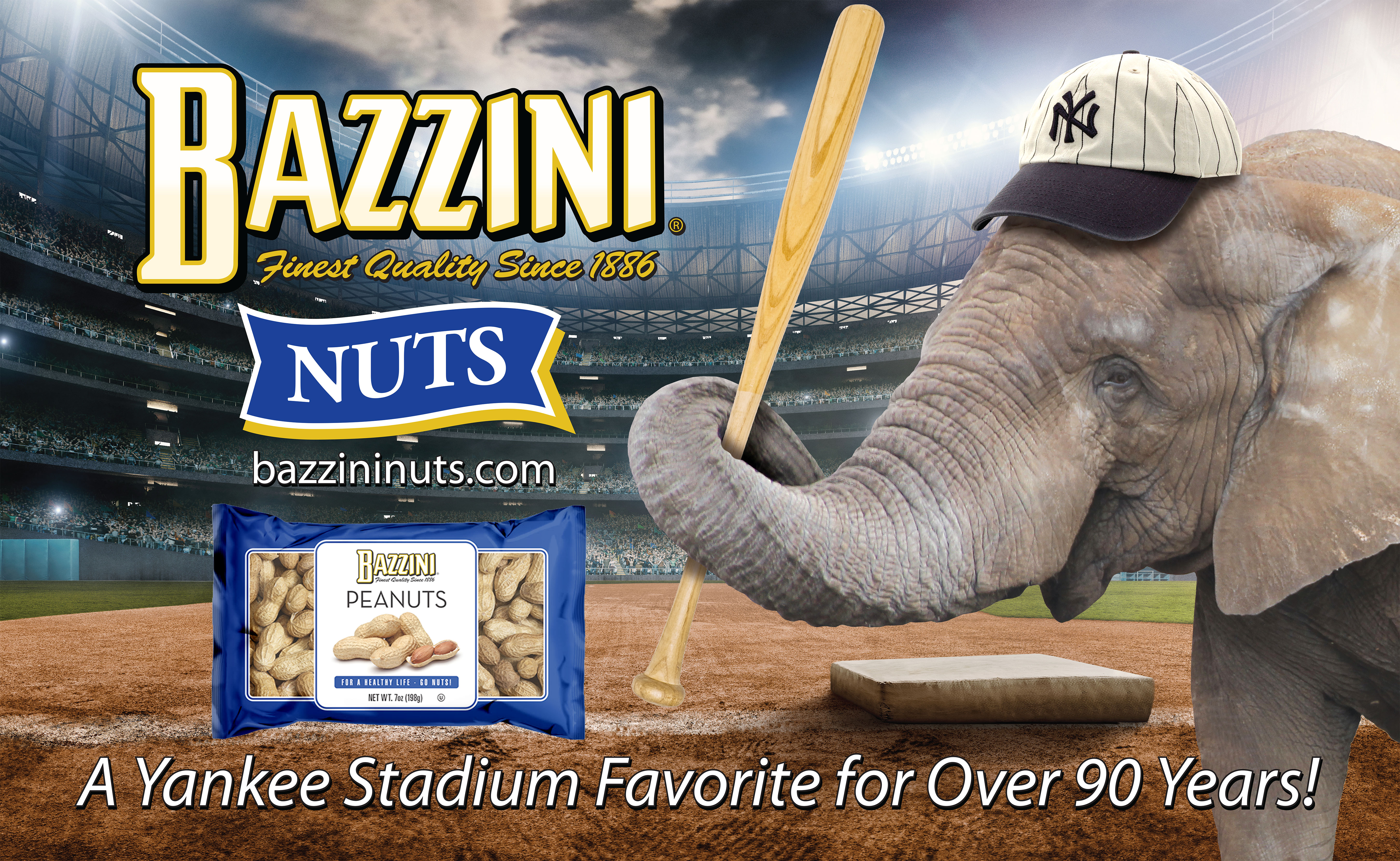 Bazzini Nuts