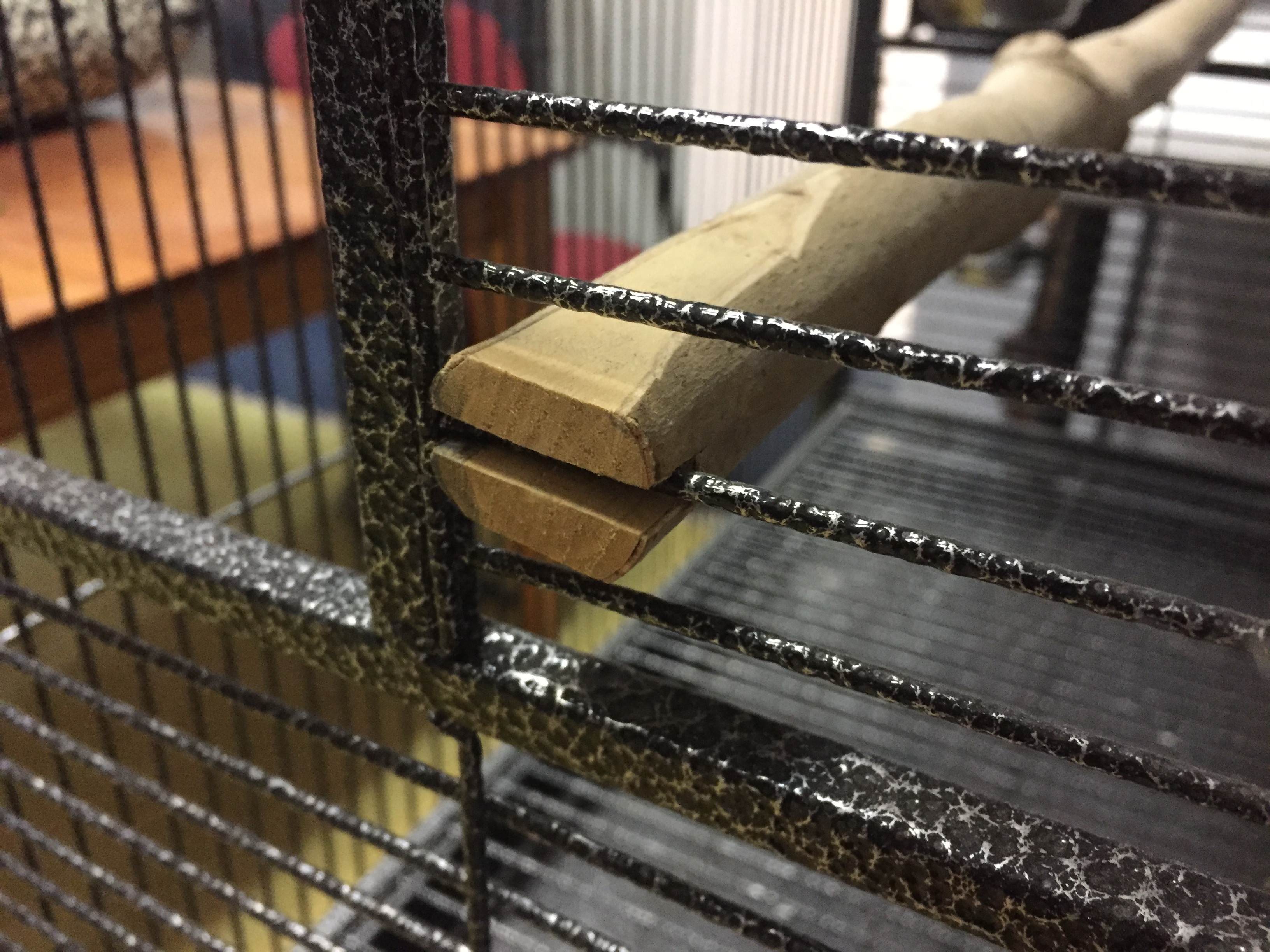 Home-Made Natural Perches - My Parrot Shop