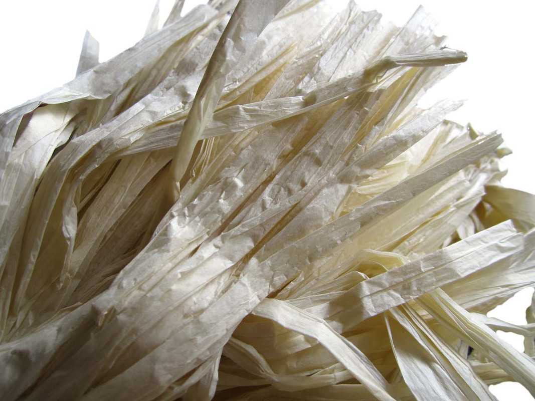 Paper Raffia - 100pcs - My Parrot Shop