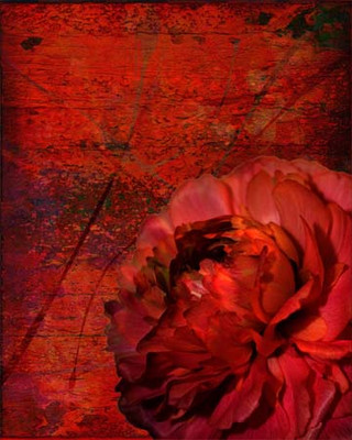 Art Classics Ruby Peony on Red Abstract