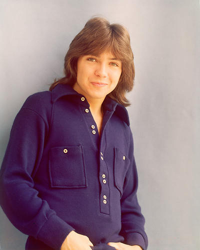 Movie Market Photograph And Poster Of David Cassidy 262720