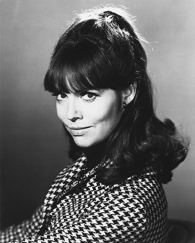 Movie Market - Photograph & Poster of Barbara Feldon 178602