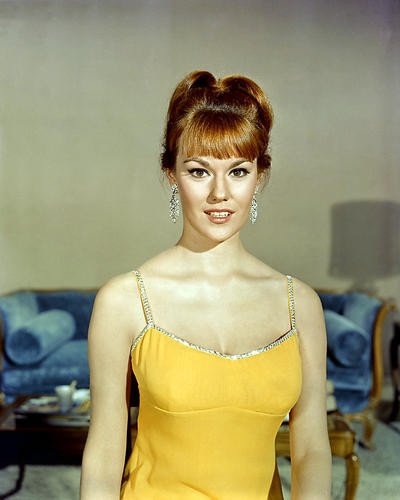 Movie Market - Photograph & Poster of Barbara Rhoades 286153