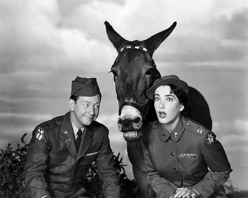 Movie Market - Photograph & Poster of Frances the Talking Mule 196605