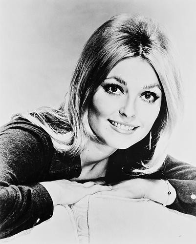 Movie Market - Photograph & Poster of Sharon Tate 168371