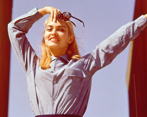 Movie Market - Photograph & Poster of Alexandra Bastedo 255190