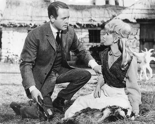 Movie Market - Photograph & Poster of The Three Lives of Thomasina 191092