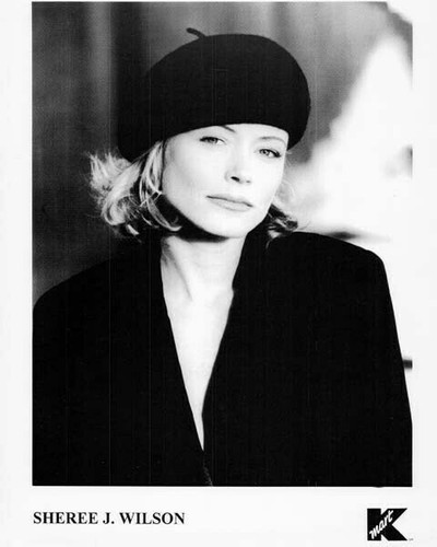 Sheree J. Wilson 8x10 original photo K-Mart promotional rarity ...
