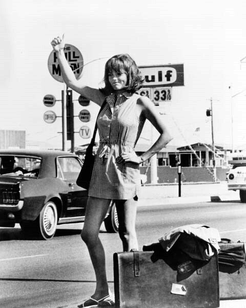 Jacqueline Bisset Thumbs A Ride In Las Vegas 1970 The Grasshopper 8x10