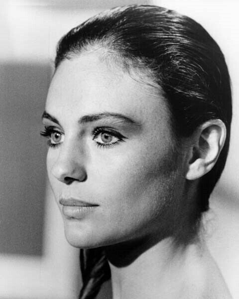 Jacqueline Bisset 1970 Beautiful Portrait The Grasshopper 8x10 Inch