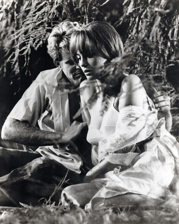 Jacqueline Bisset In Underwear Sitting In Woods 1970 The Grasshopper