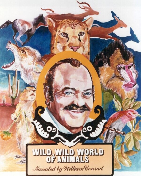 William Conrad 1973 artwork for Wild Wild World of Animals TV 8x10 inch ...