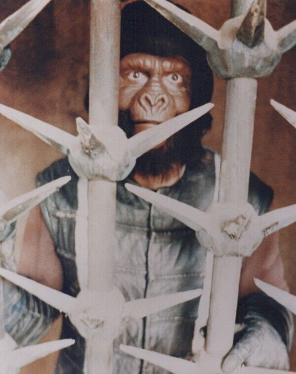 Battle For the Planet of the Apes Claude Akins as Gen Aldo vintage 8x10 ...