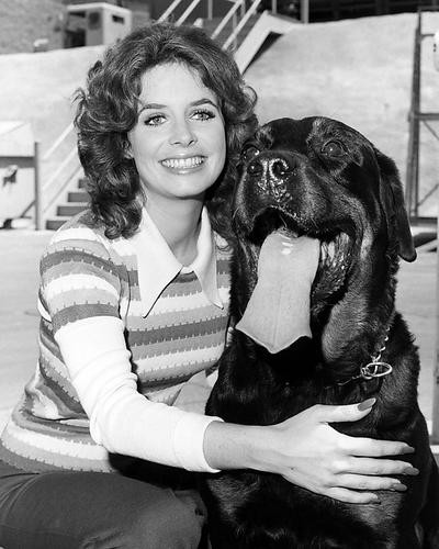 Movie Market - Photograph & Poster of Elizabeth Baur 199354