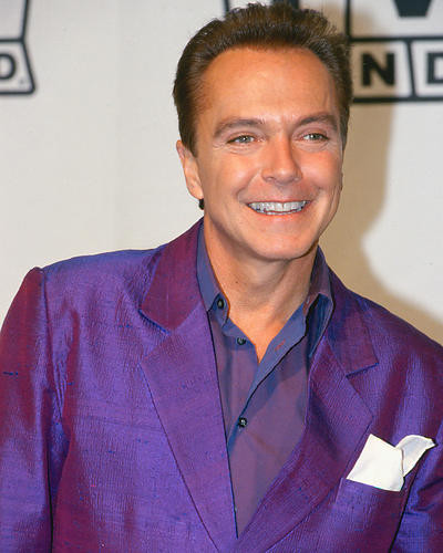 Movie Market Photograph And Poster Of David Cassidy 254931