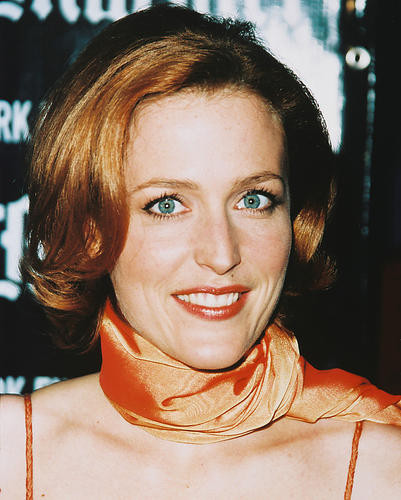 Movie Market - Photograph & Poster of Gillian Anderson 245429
