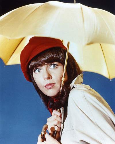 Movie Market - Photograph & Poster of Barbara Feldon 272712
